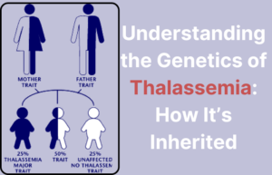 Understanding the Genetics of Thalassemia: How It’s Inherited - Dr ...